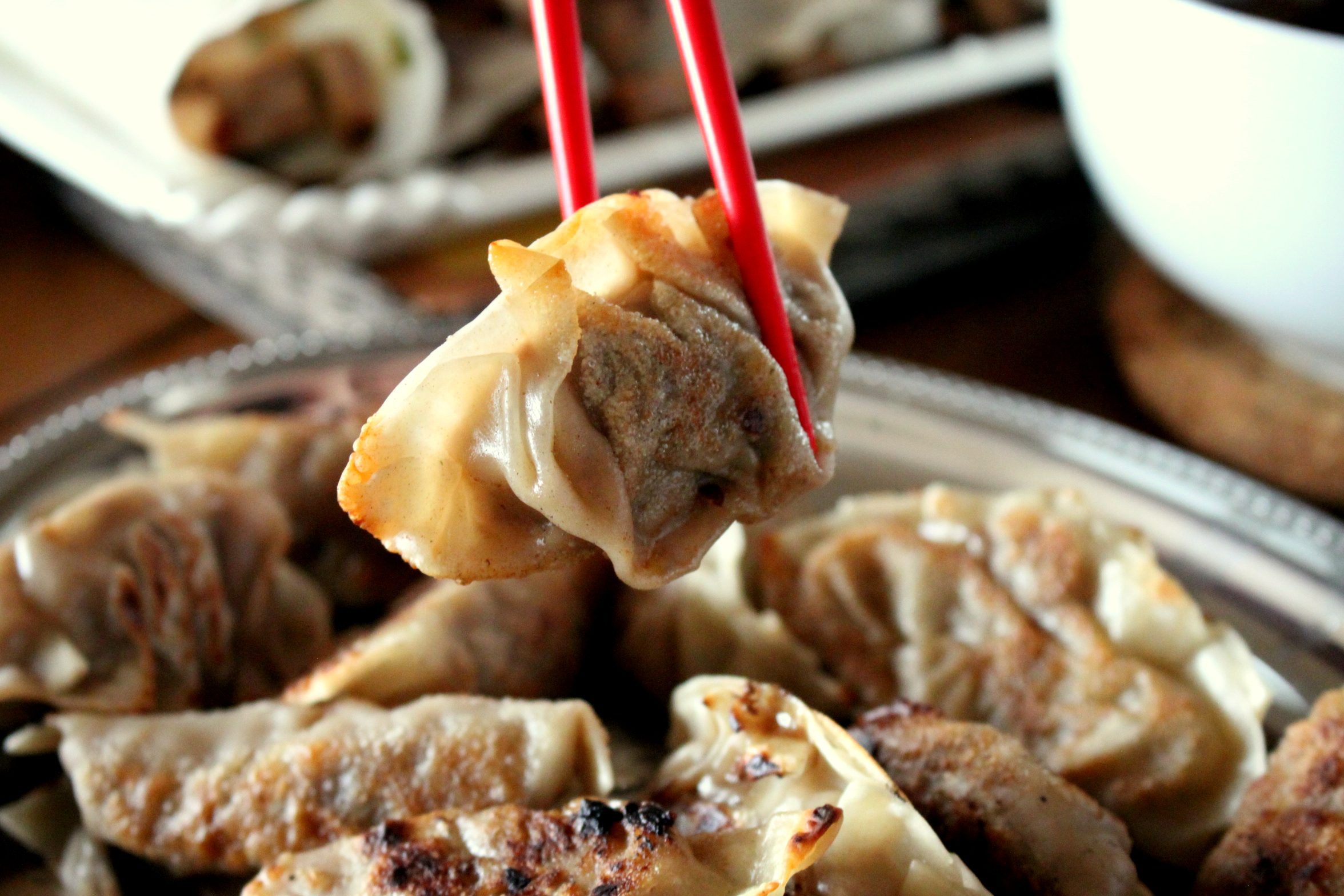 Pot Stickers - Chinese Dumplings