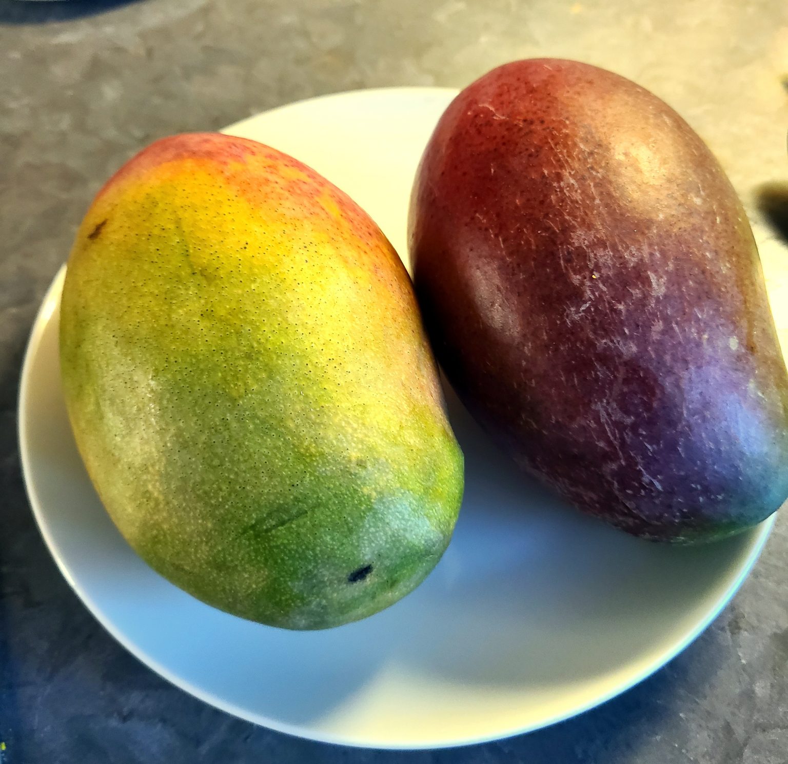 Sticky Rice with Mango and Coconut Milk